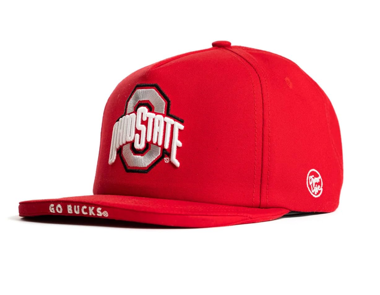 Dyme Lyfe Mens Ohio State Big Bill Snapback Hat OSFM Red – Campus Hats