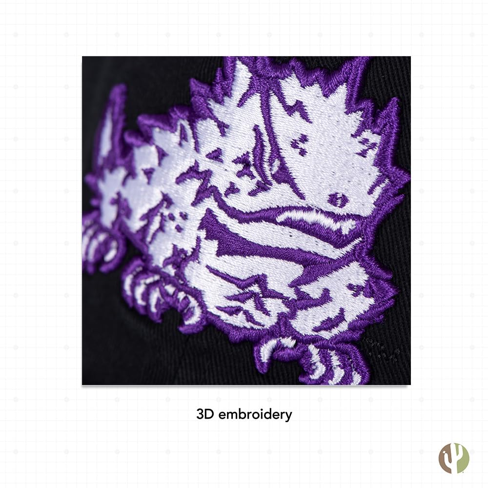 Desert Cactus TCU Texas Christian University Baseball Hat Horned Frogs ...