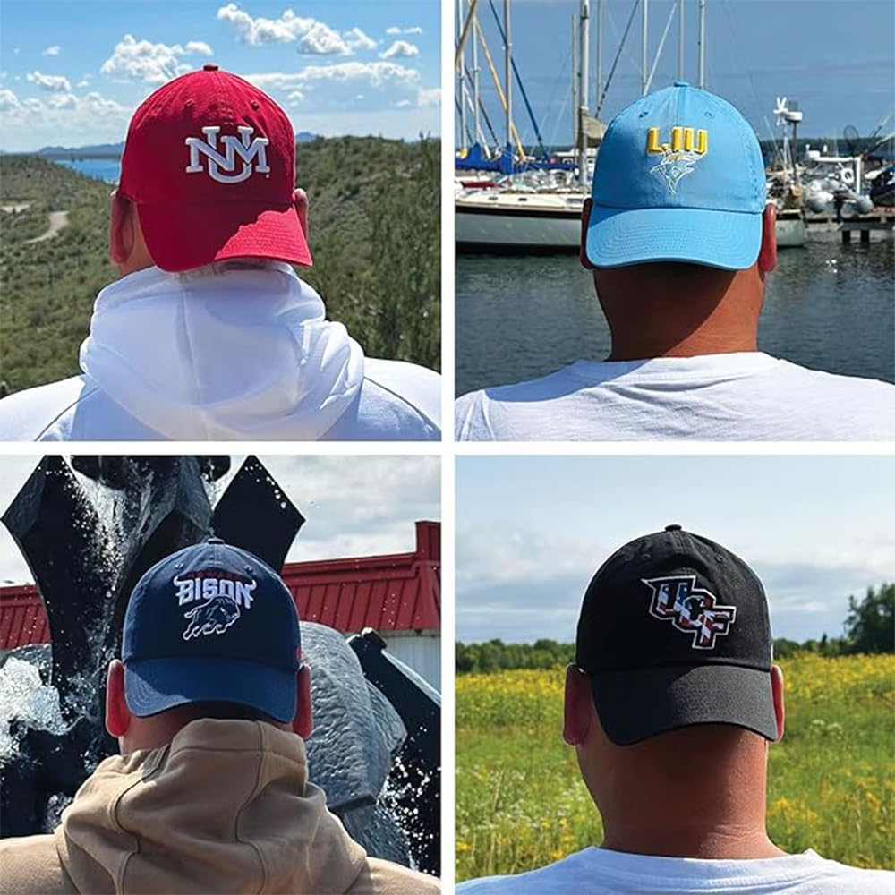 Desert Cactus Florida State University Baseball Hat Seminoles FSU Brim ...